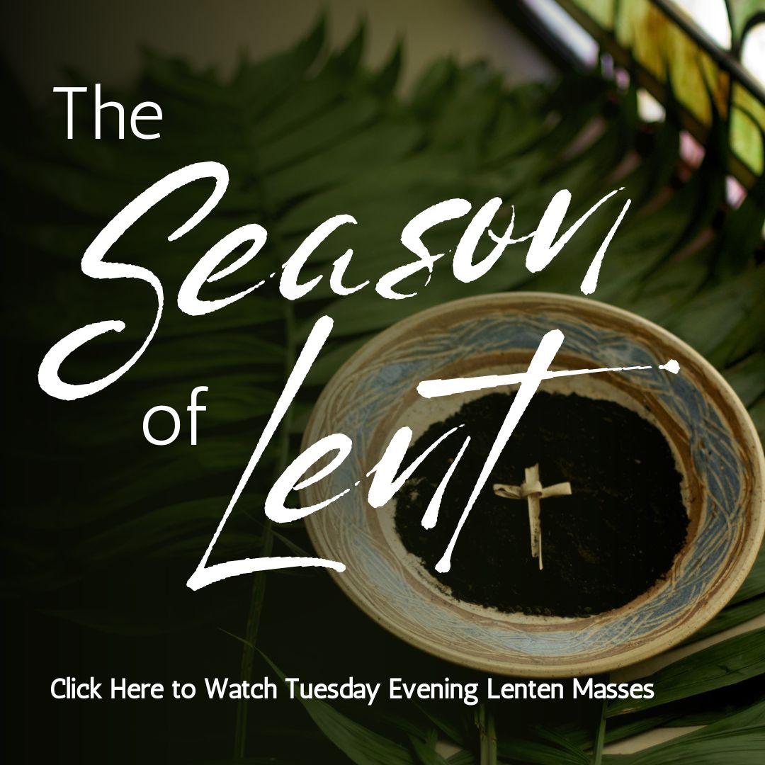 Click Here to Watch Tuesday Evening Lenten Masses – Immaculate ...